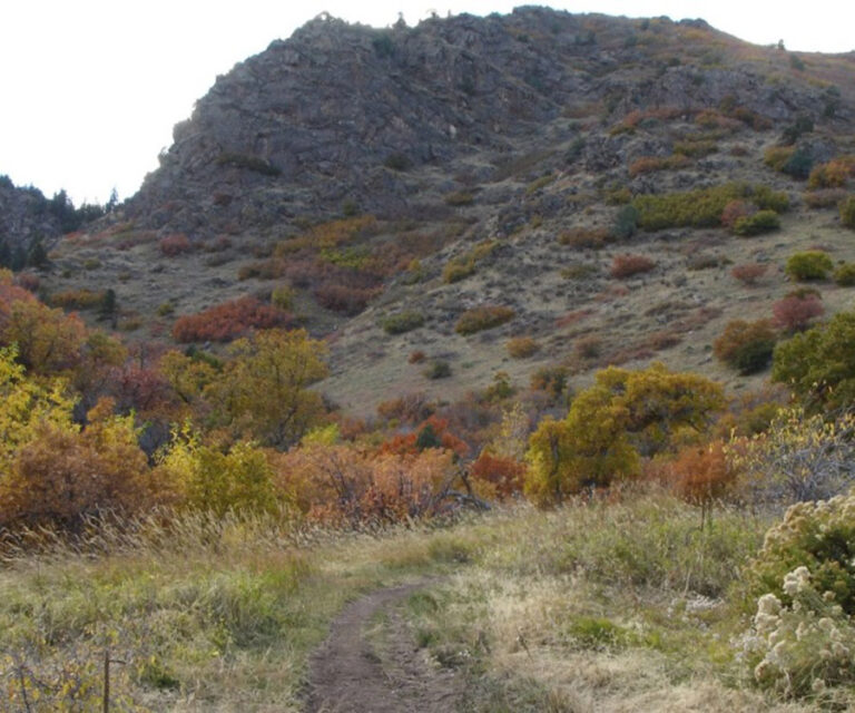 Community & News - Ken-Caryl Ranch